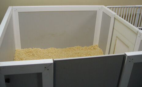 What Are Pig Rails In A Whelping Box